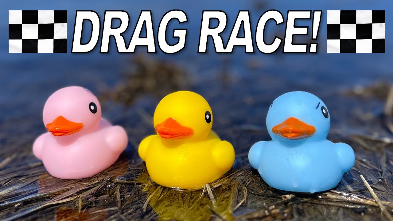 Ultimate Drag Race - Duck-tacklar! - River Race | Everyday Driver - YouTube