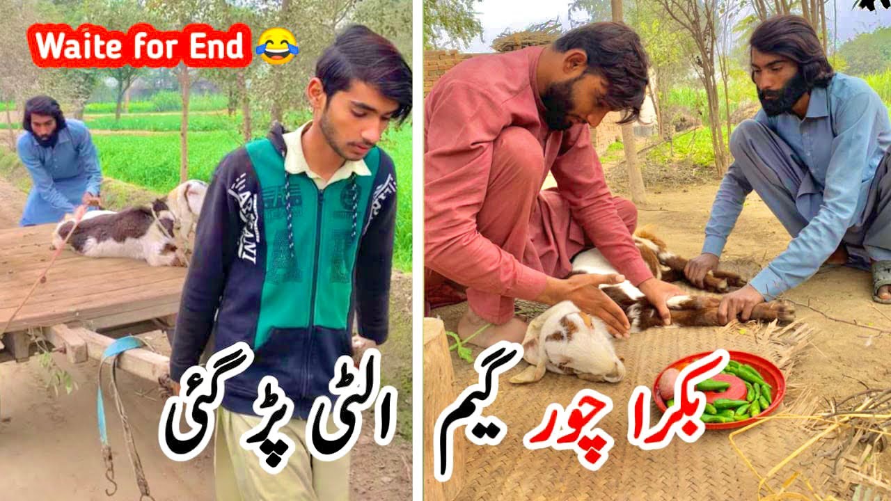 Bakra 🐑 Chor Game ulte par gai | 😂😂 | #waitforend #viralvideo # ...