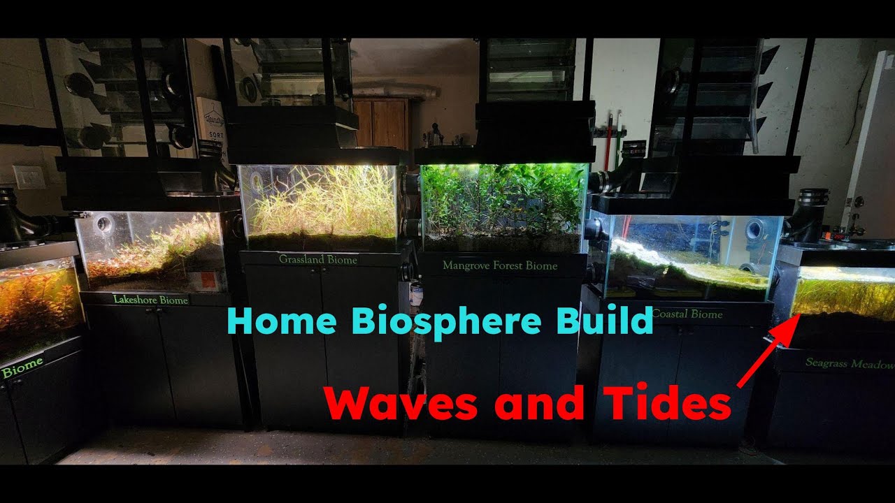 Biosphere Project Now Has Waves and Tides - YouTube