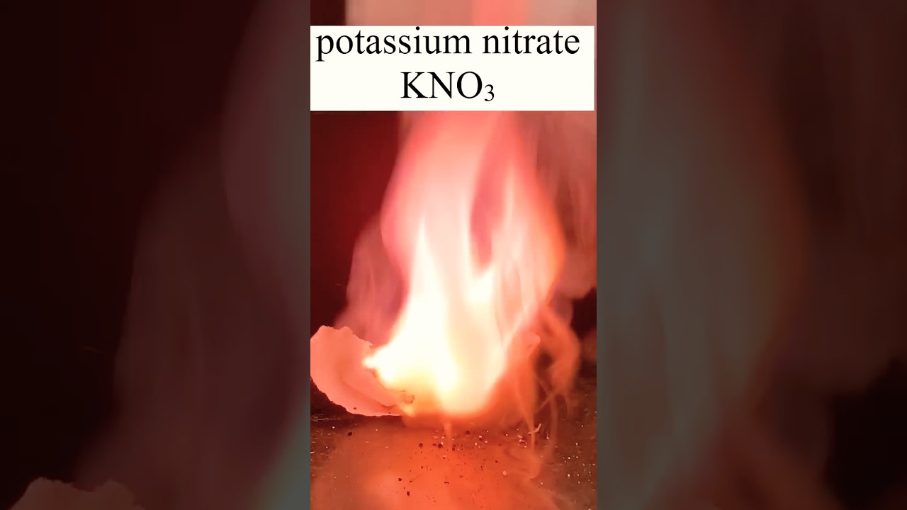 Burning copper nitrate paper #shorts #chemicalreaction #chemistry # ...