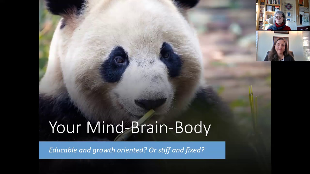 Evolved Nest Explained: Routine Healing Practices - YouTube