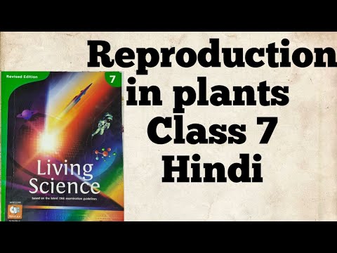 Class 7 Reproduction in plants (part 3) Living Science - YouTube