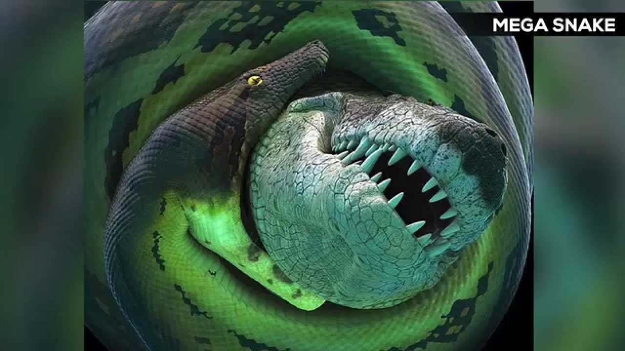 Endangered 10 Scary Animal Breeds - YouTube