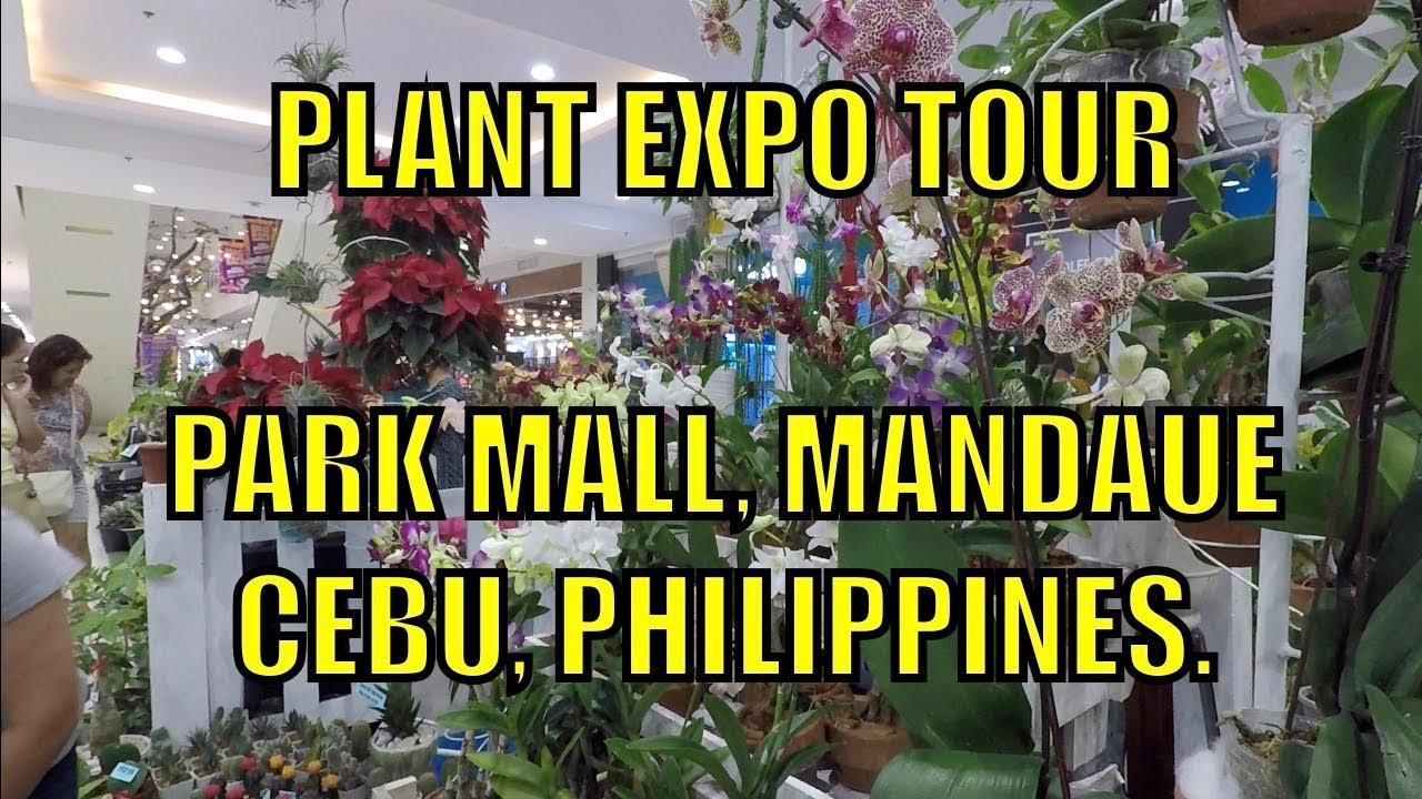 Plant Expo Tour, Park Mall, Mandaue, Cebu, Philippines. - YouTube