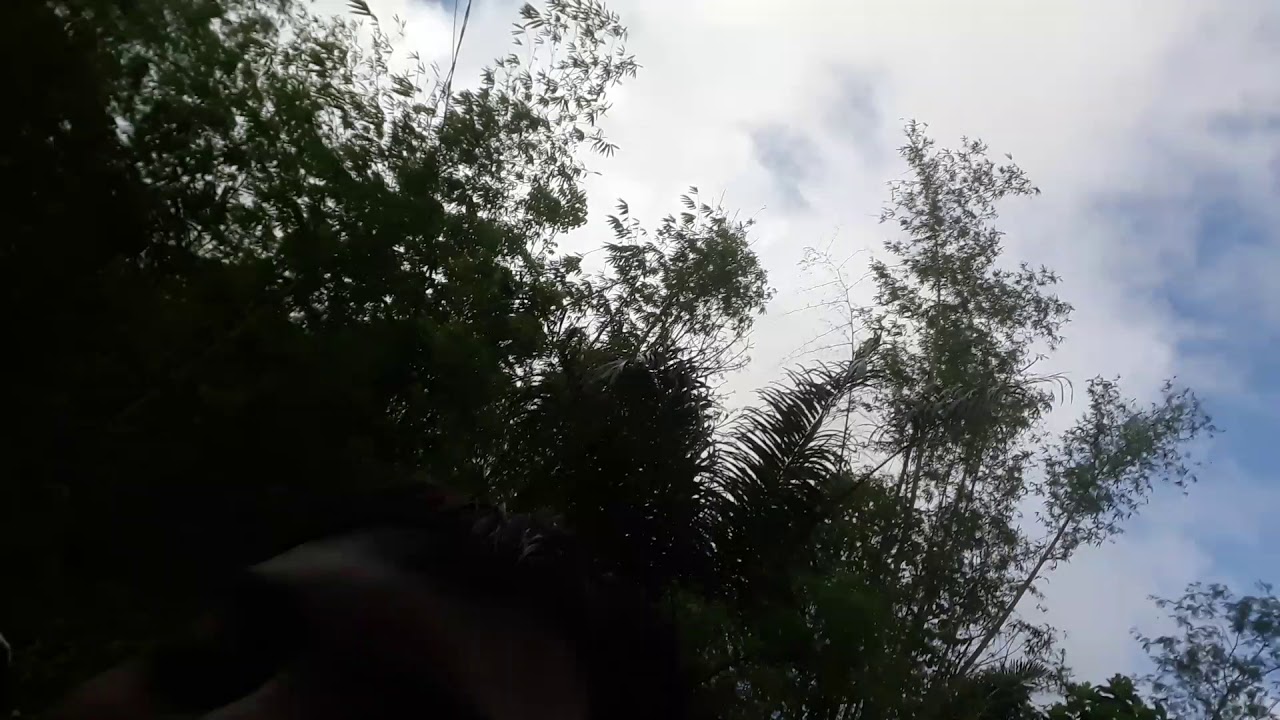 Flex ko lang yung tropa kung lasing😅 - YouTube