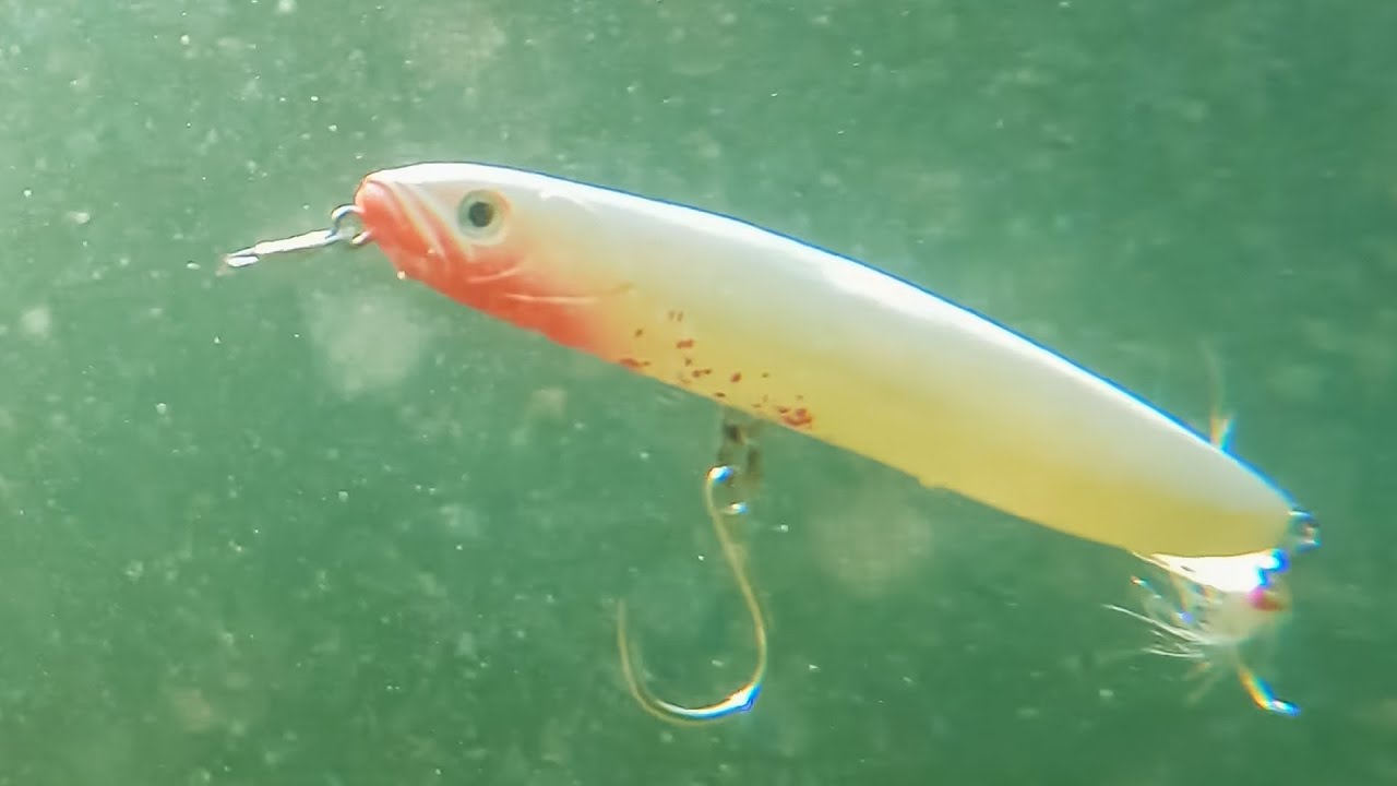 Fishing Lure Review: Island X Lures - YouTube