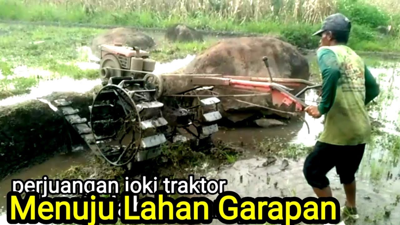 Perjuangan Operator Traktor Sawah Menuju Lahan Garapan - YouTube