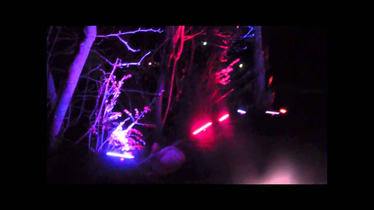 Dmx uplighting trees and house - YouTube