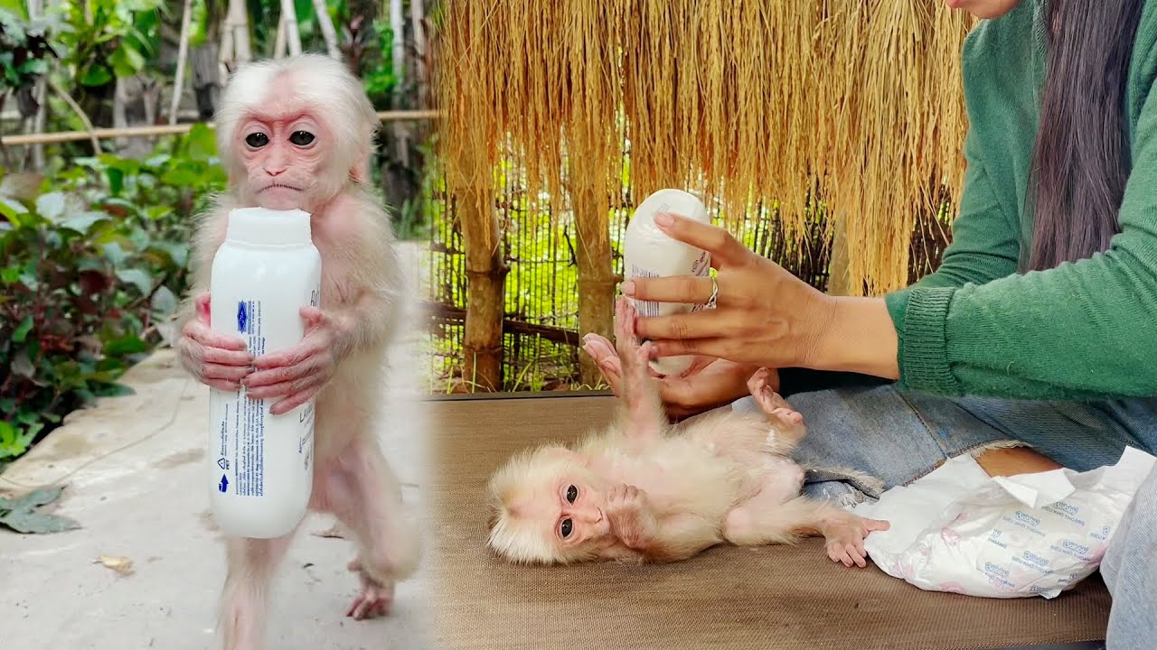 Wow Ken Super Smart & Realistic Ebediently Delivers baby Powder to Mom ...