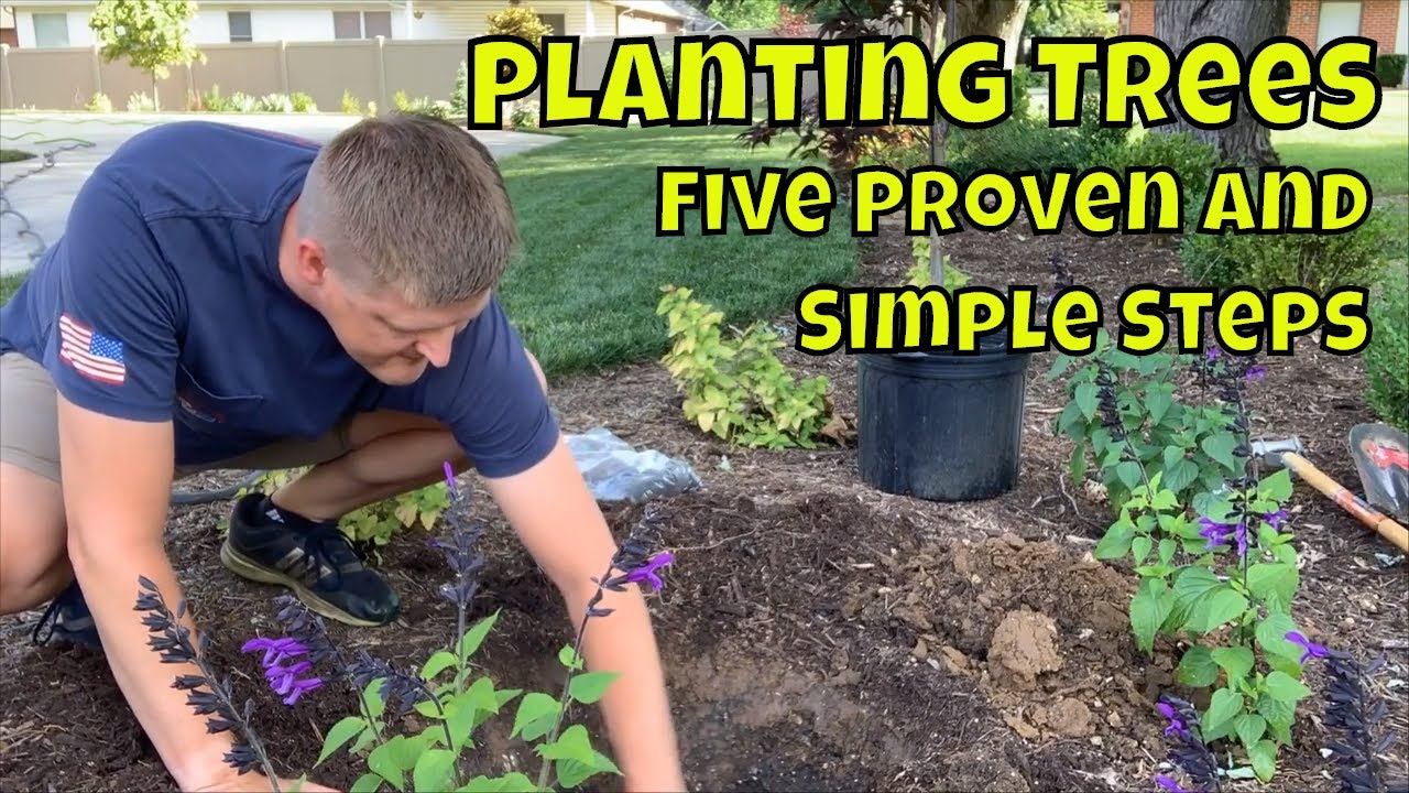 Simple & Proven Steps to Planting Trees - YouTube