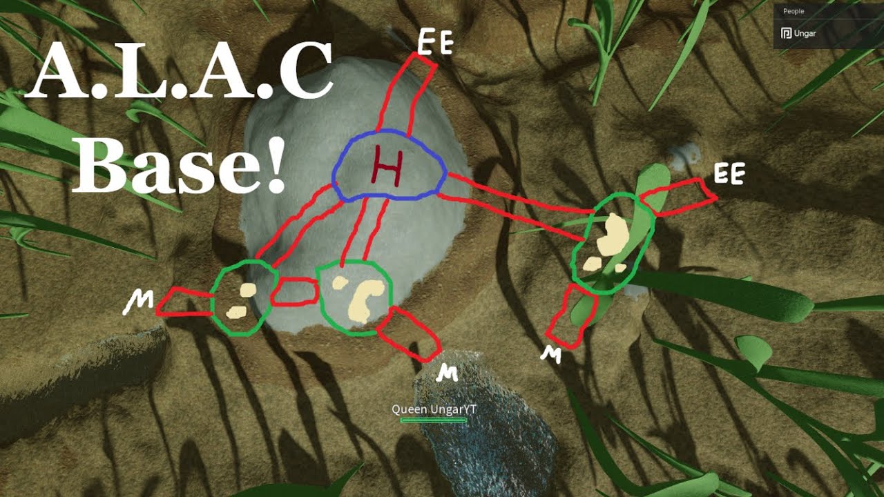 Declaring WAR on the Carpenter Ants! - Ant Life V2 Stream - YouTube