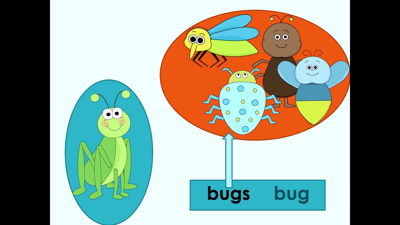 Making Words Plural By Adding "S" - YouTube