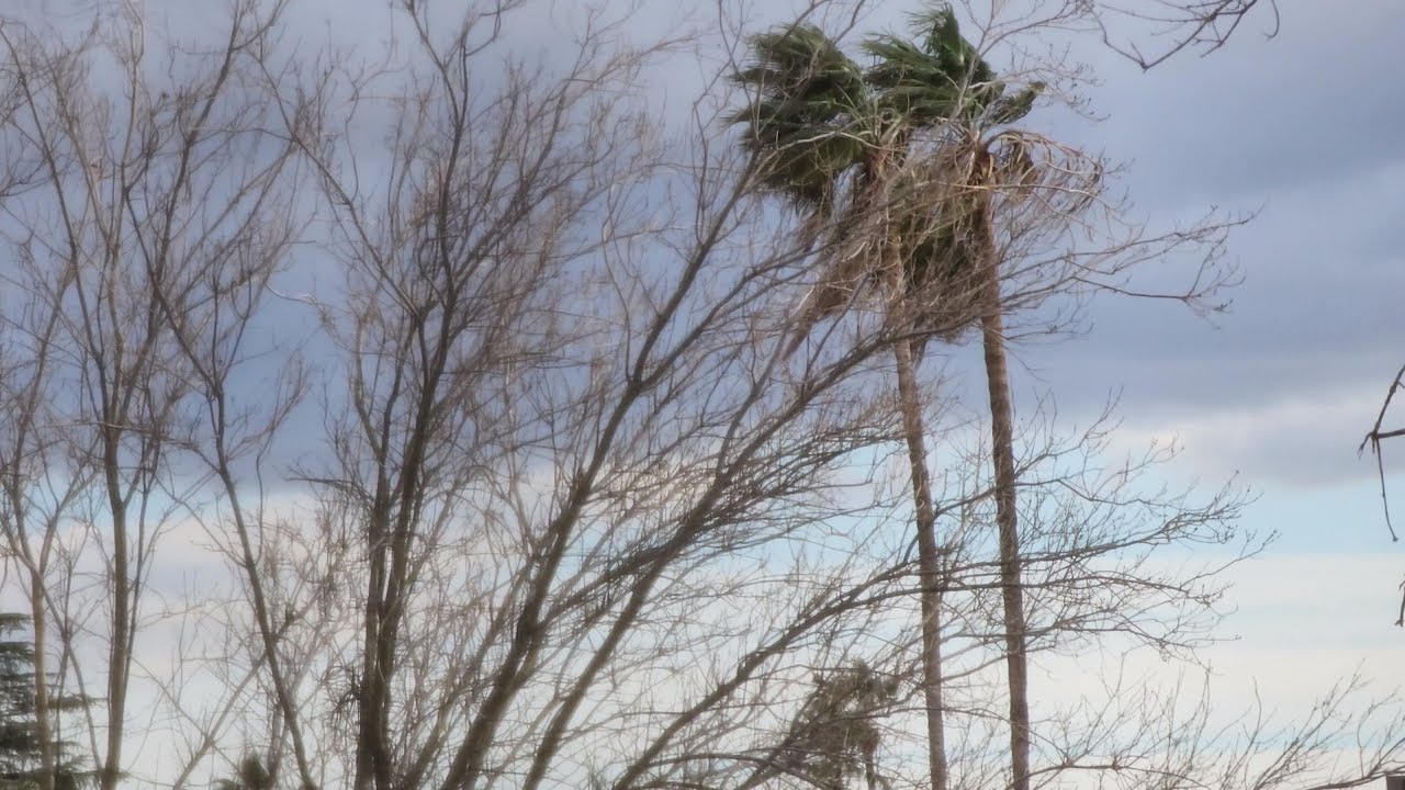 Gusty Windy West To WNW Winds & Mostly Cloudy 3:39pm February 21, 2023 ...