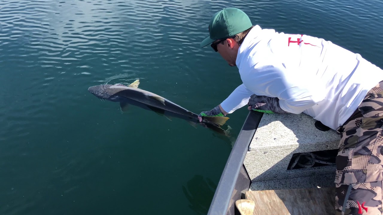 Cree Lake Lodge 2018 - YouTube