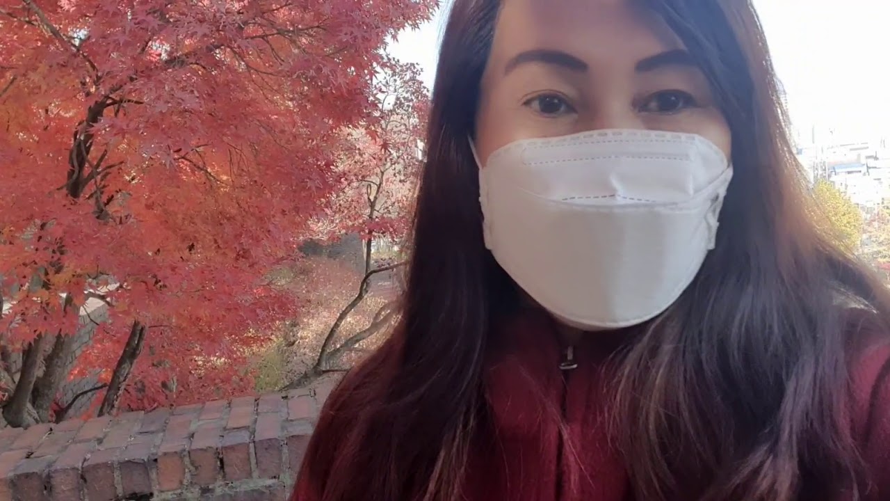 THE COLORFUL MAPLE LEAVES I ELENA PARK TV - YouTube