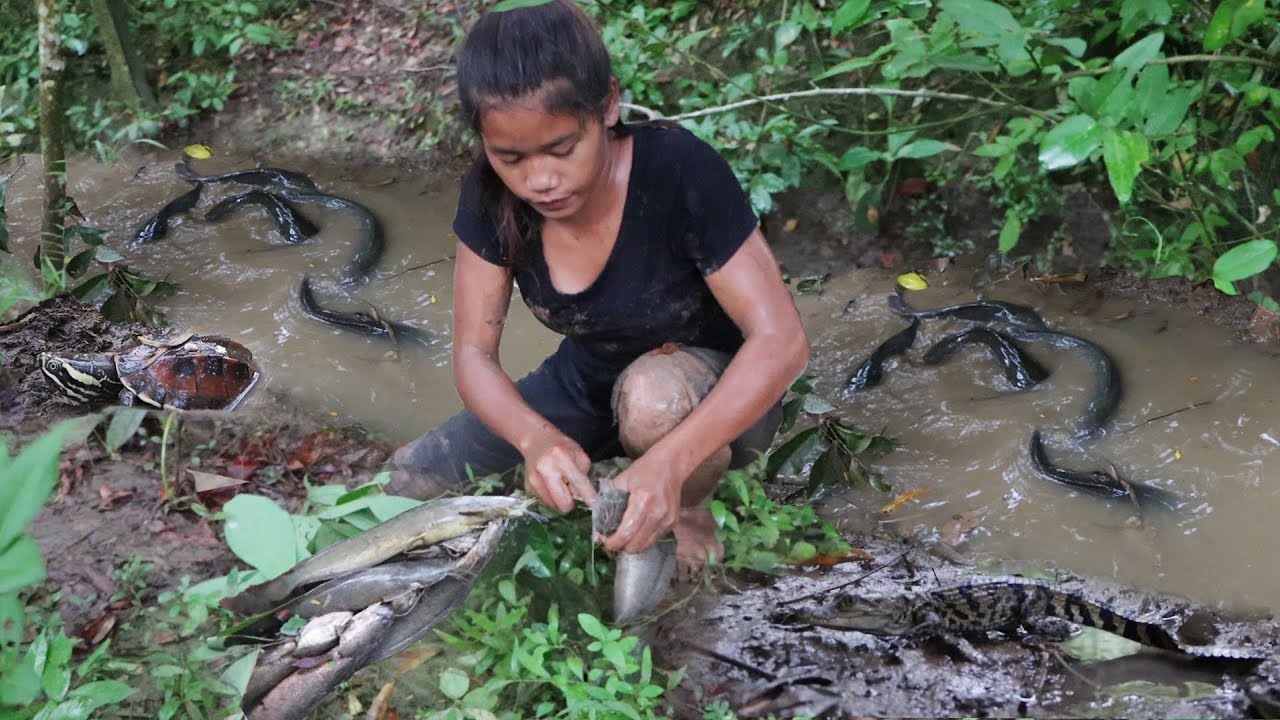 Rescuing baby turtle- Catch many fish in wild canal water - Grilled ...