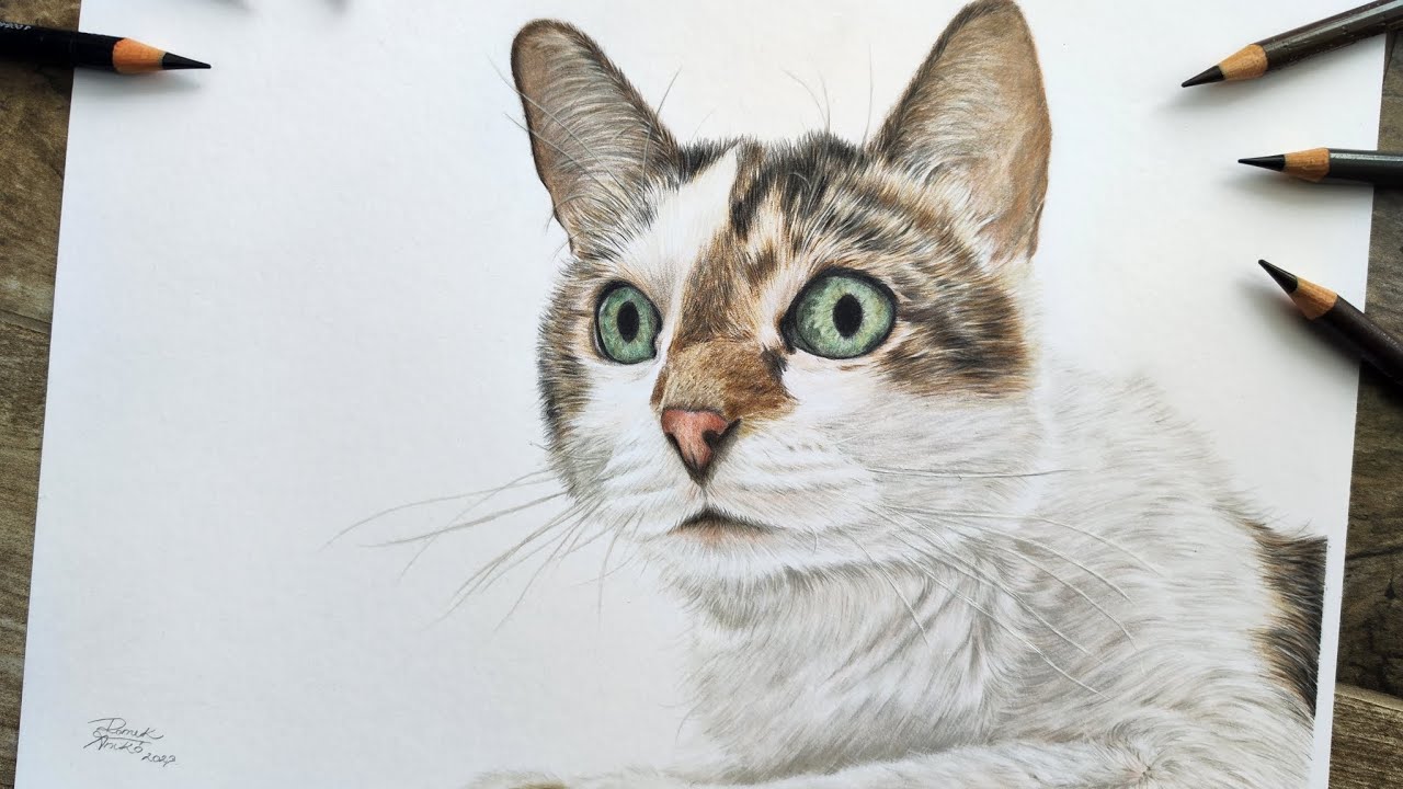 Cirmos portréja - Macska portré rajz/ Cat drawing - YouTube