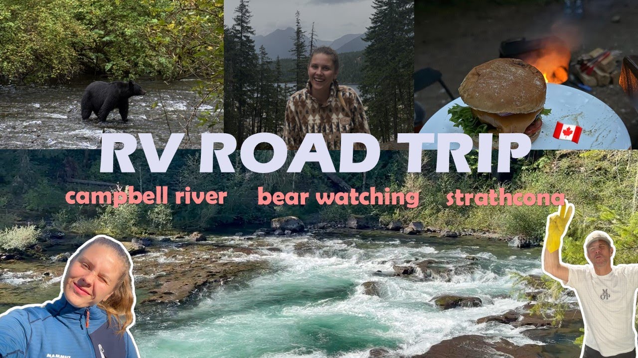 Hoher Besuch, Bear-Watching in Campbell River & Strathcona Provincial ...