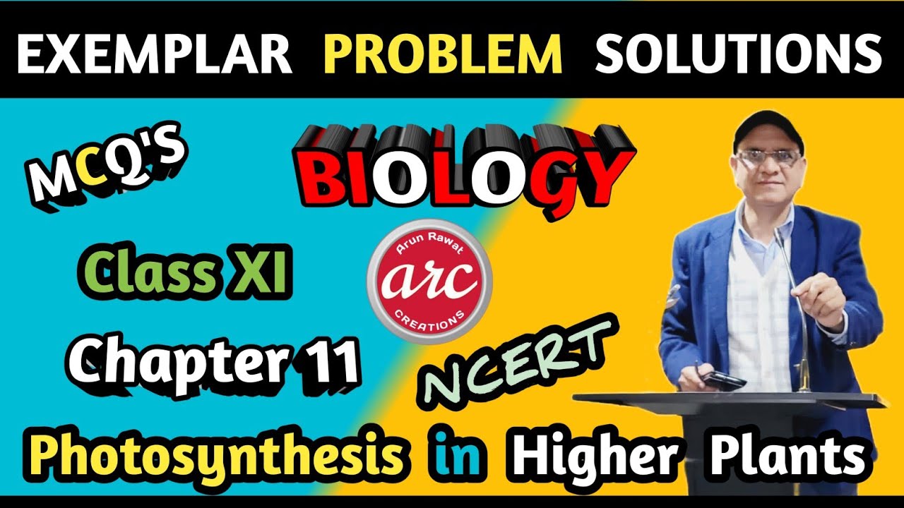 MCQ'S Class XI Biology Chapter 11: Photosynthesis in Higher Plants ...