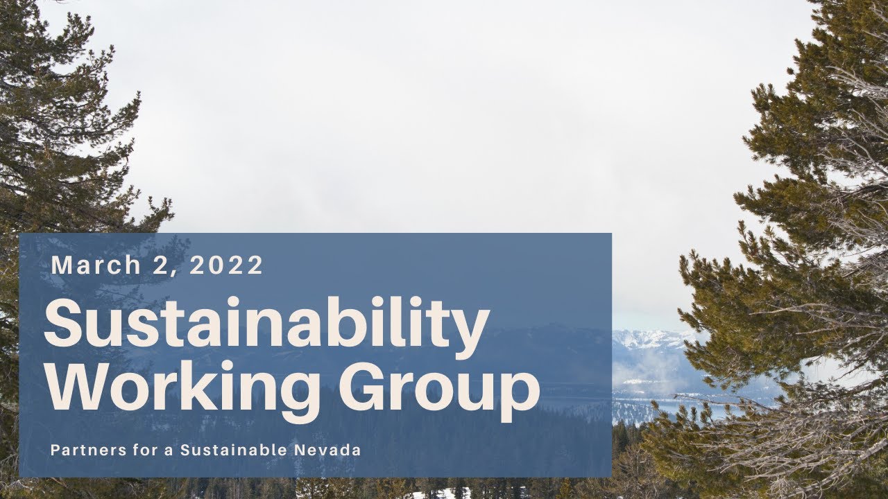 Sustainability Working Group - March 2, 2022 - YouTube