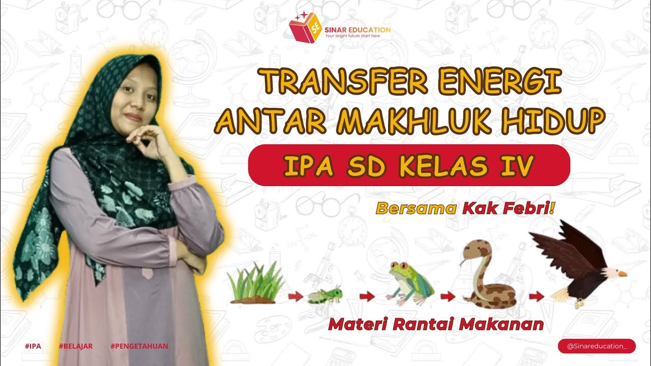Transfer Energi antar Makhluk Hidup | IPA SD kelas IV | Sinar Education ...