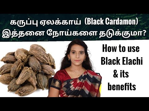 கருப்பு ஏலக்காய் இத்தனை நோய் தடுக்குமா? Black cardamon benefits tamil ...