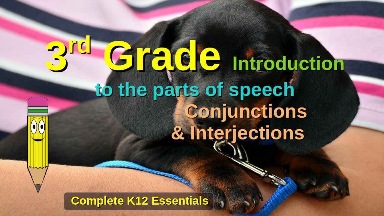 3rd Grade Introduction to the Parts of Speech | Conjunctions and ...
