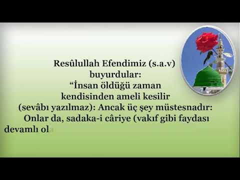 insan öldüğü zaman