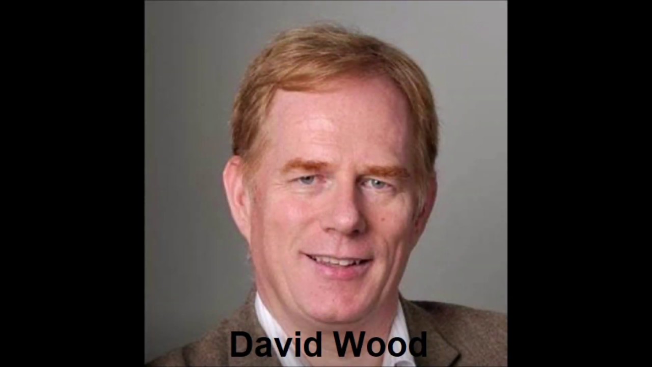 #29 Sustainable Superabundance with David Wood - YouTube