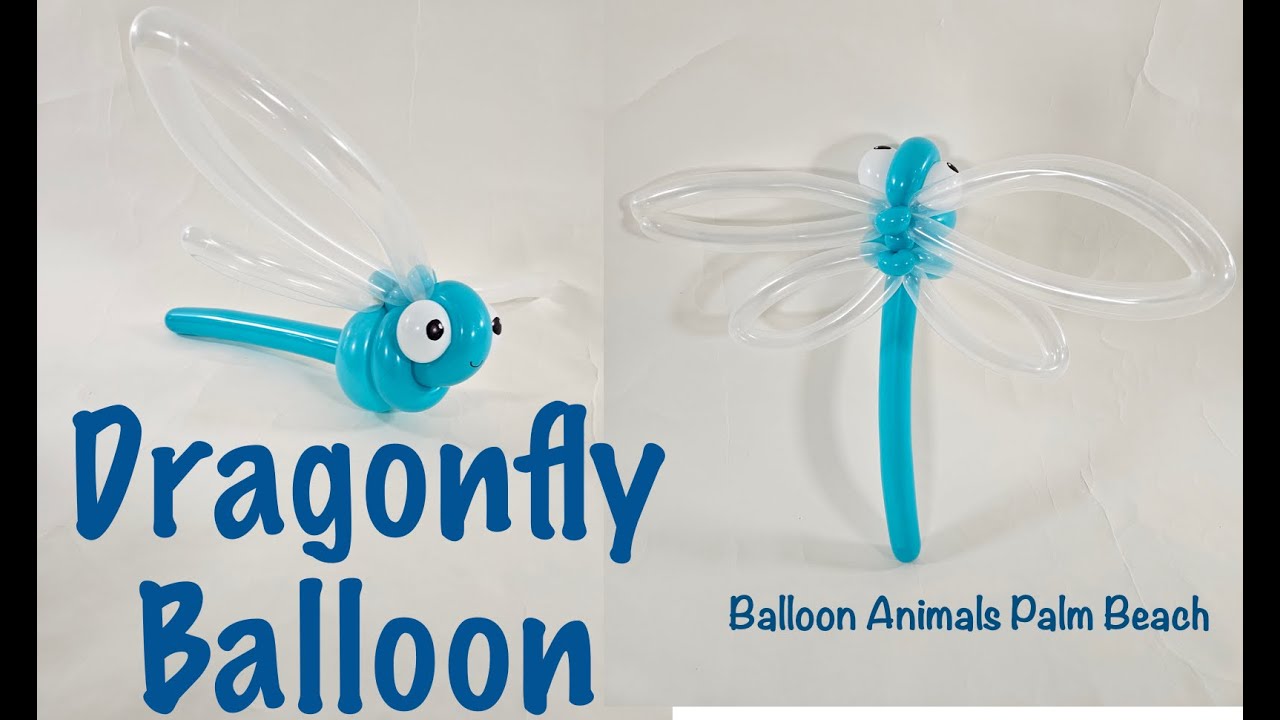 How To Make A Dragonfly Balloon - Balloon Animals Palm Beach - YouTube