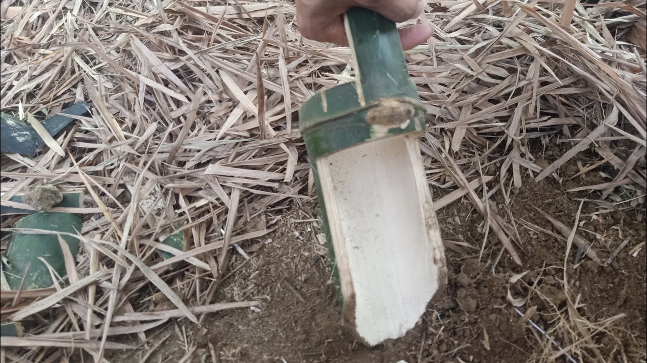 Make "tool for dig and collect land" by bamboo - YouTube