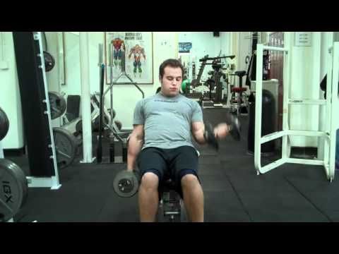 Seated Incline Dumbbell Curls - YouTube