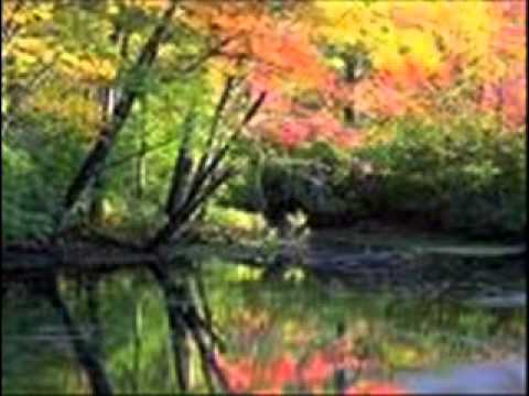 Ufuk Güney - Ben Senin Yokluğunu Sevdim