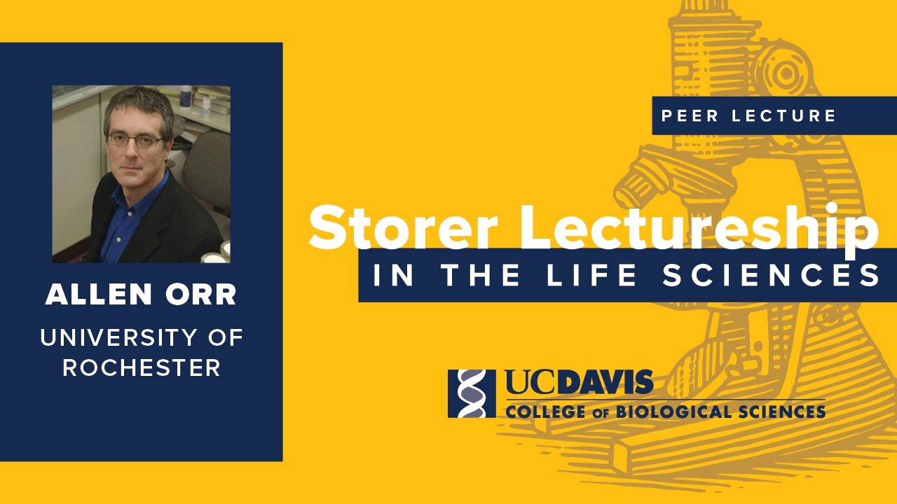 Storer Lectureship feat. Allen Orr, University of Rochester | April 21 ...