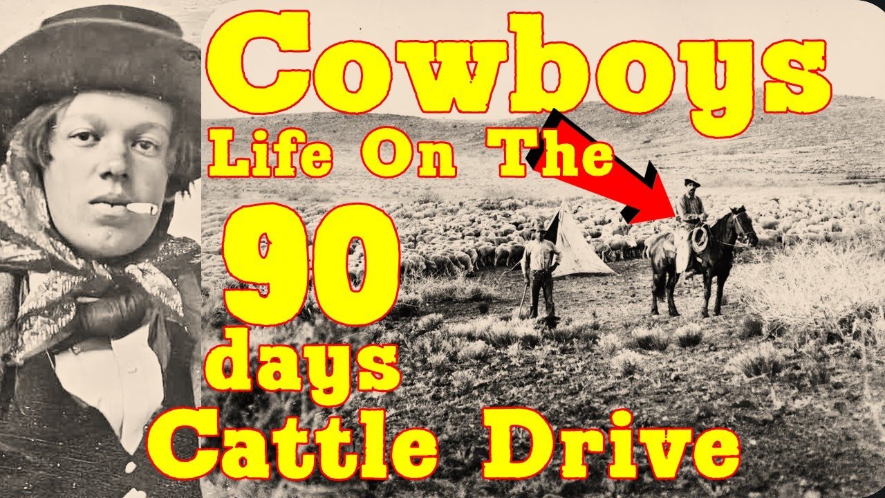 Cowboys life on The 90 Days Cattle Drive in The Old West - YouTube