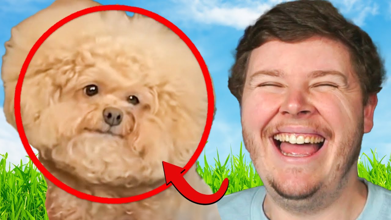 UNUSUAL MEMES THAT MAKE ME EDGE - YouTube