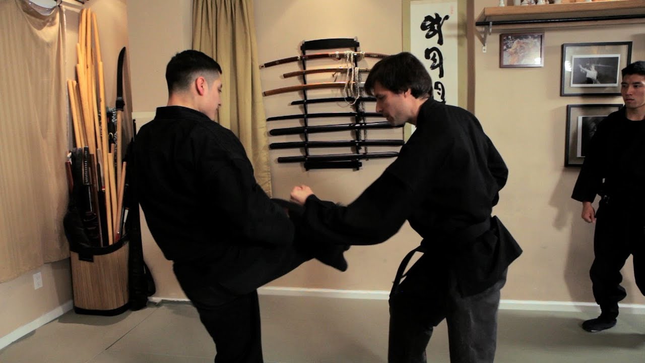 Kedikudaki aka Destroying a Kick | Ninjutsu Lessons - YouTube