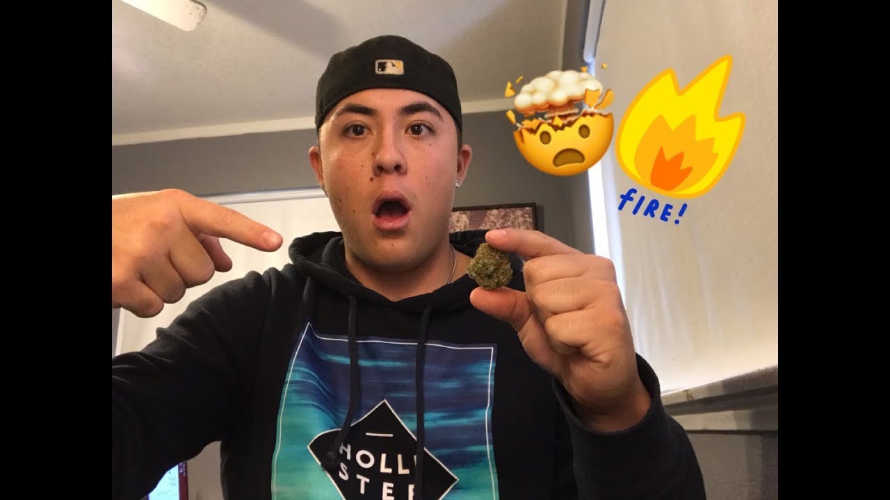 PURPLE MONKEY BALLS!!! Strain Review - YouTube