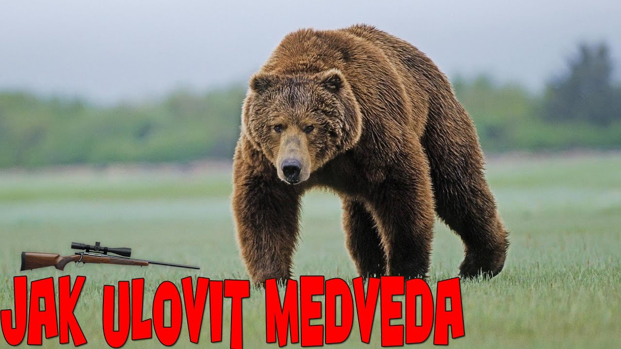 Jak se loví medvědi. ;) - YouTube