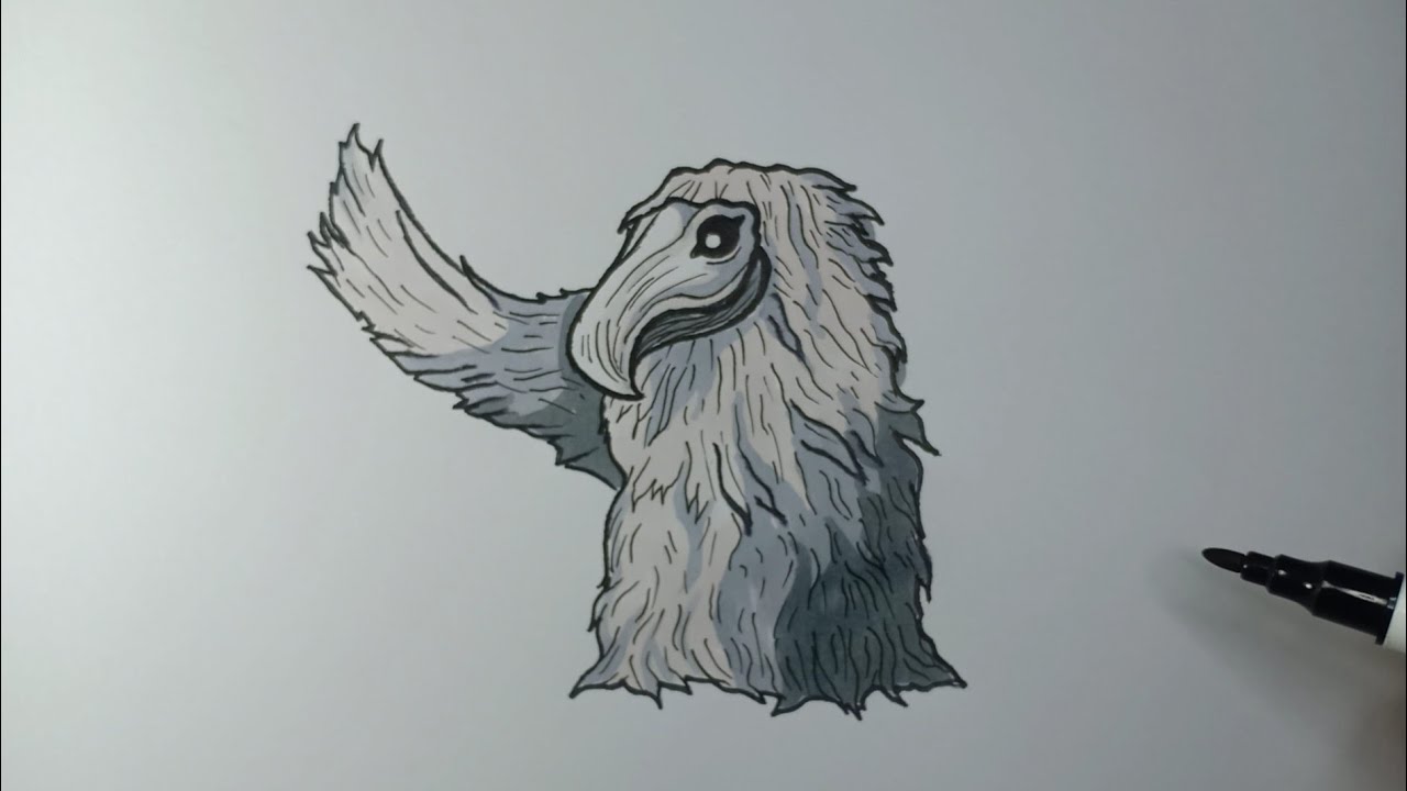 How To Draw Opium Bird Meme - YouTube