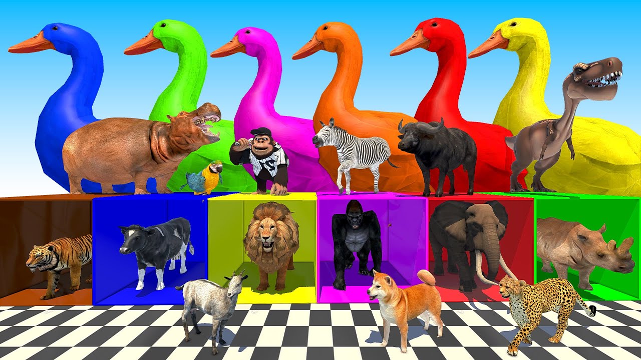 Zainy Toons All Cartoons for Kids Animals Fun Race With 6 Giant Ducks ...