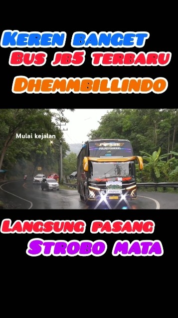 POPEYE BUS TERBARU DHEEMOBILLINDO PULANG DARI PANGANDARAN FULL TELOLET ...