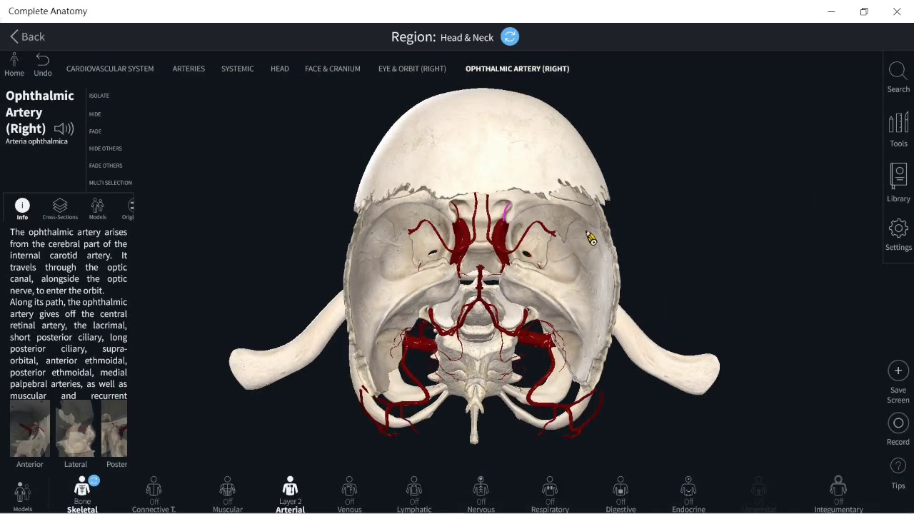 【Complete Anatomy】實機示範 - YouTube