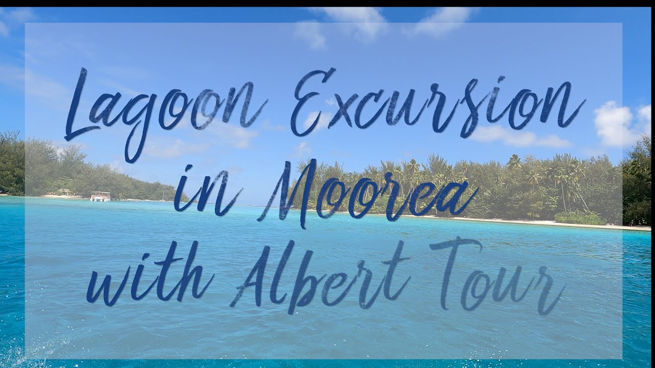 Travel Guide : Lagoon Excursion in Moorea with Albert Tour ! Swimming ...