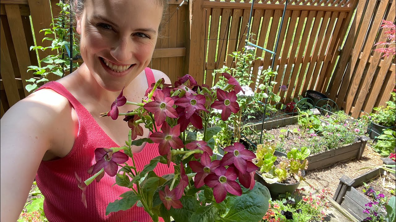 Fun Summer Flower Container Recipe | Container Gardening - YouTube