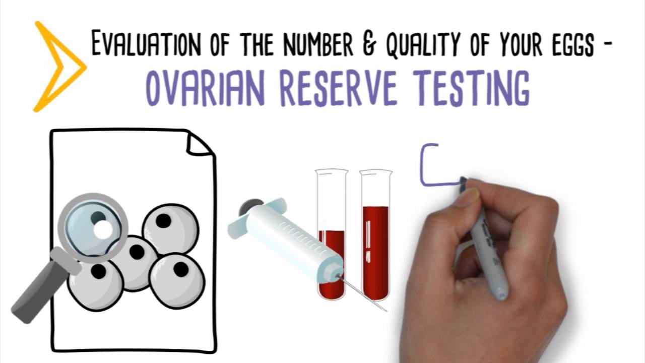 Basics of Infertility Testing - from US Fertility Network (877) 977 ...