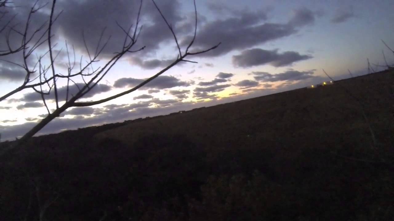 Nantucket whitetail deer hunting - YouTube