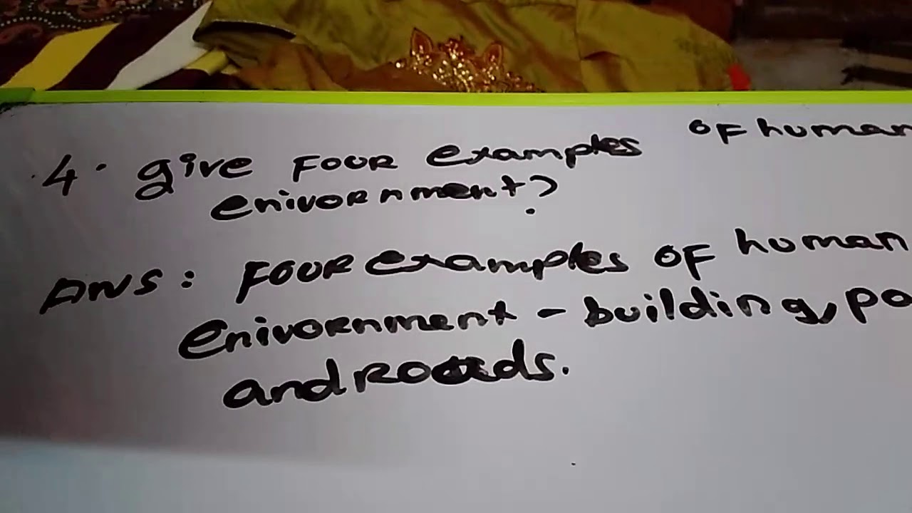 Our environment lesson for class 7 th ncert part 4 - YouTube