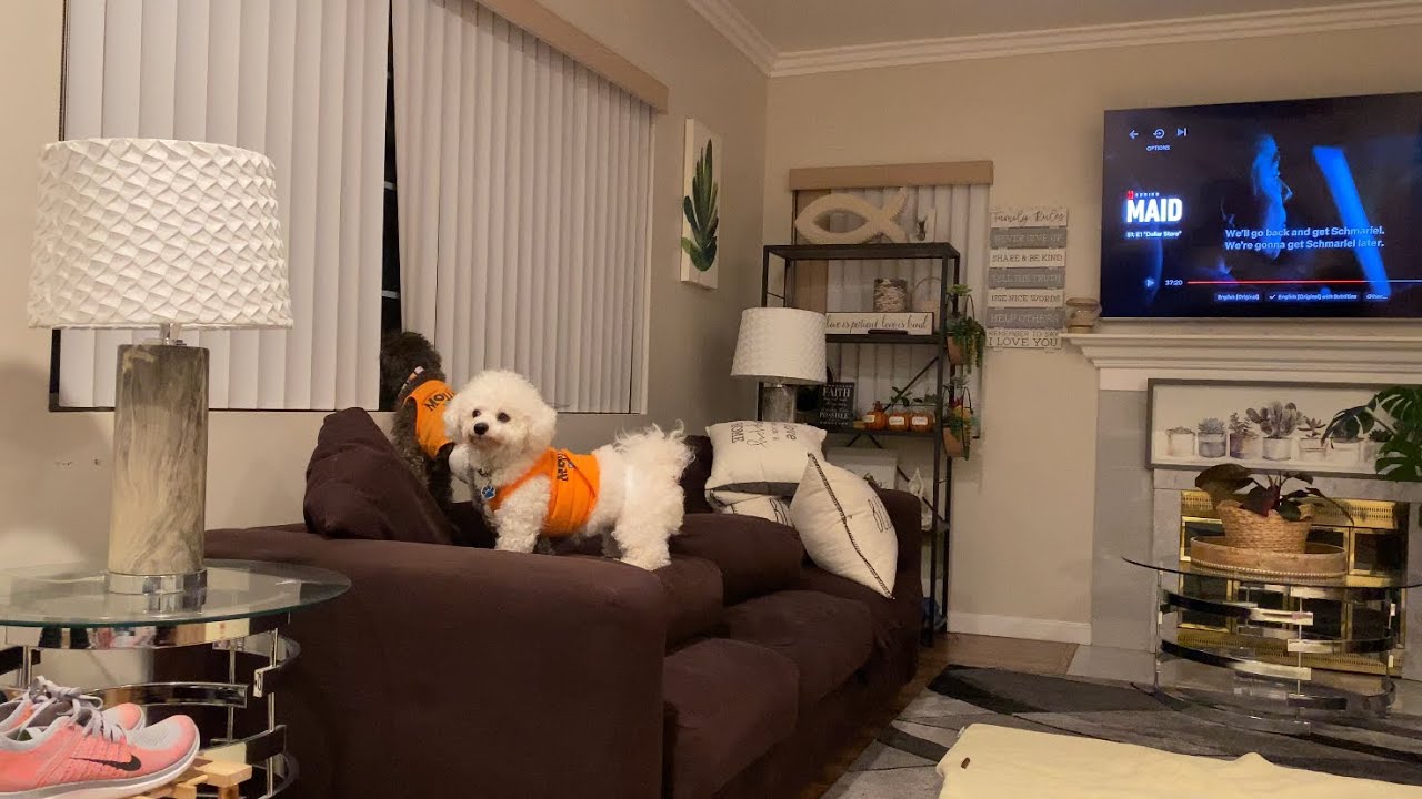 MOMENTS WITH LUKE and LEVI - YouTube