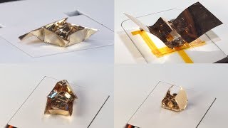 Pako Pako by Tomoko Fuse - AMAZING Transforming Origami! | Safe Videos ...